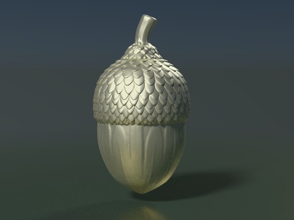 Acorn 3D Models for Download | TurboSquid