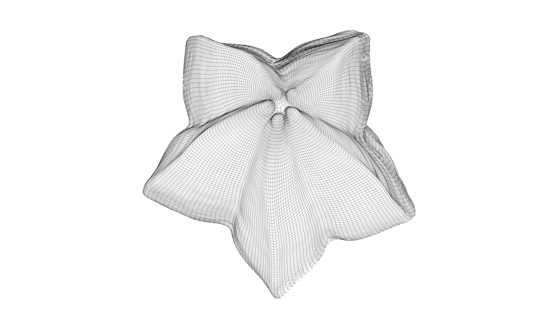 Star Fruit 3D Model - TurboSquid 2045444