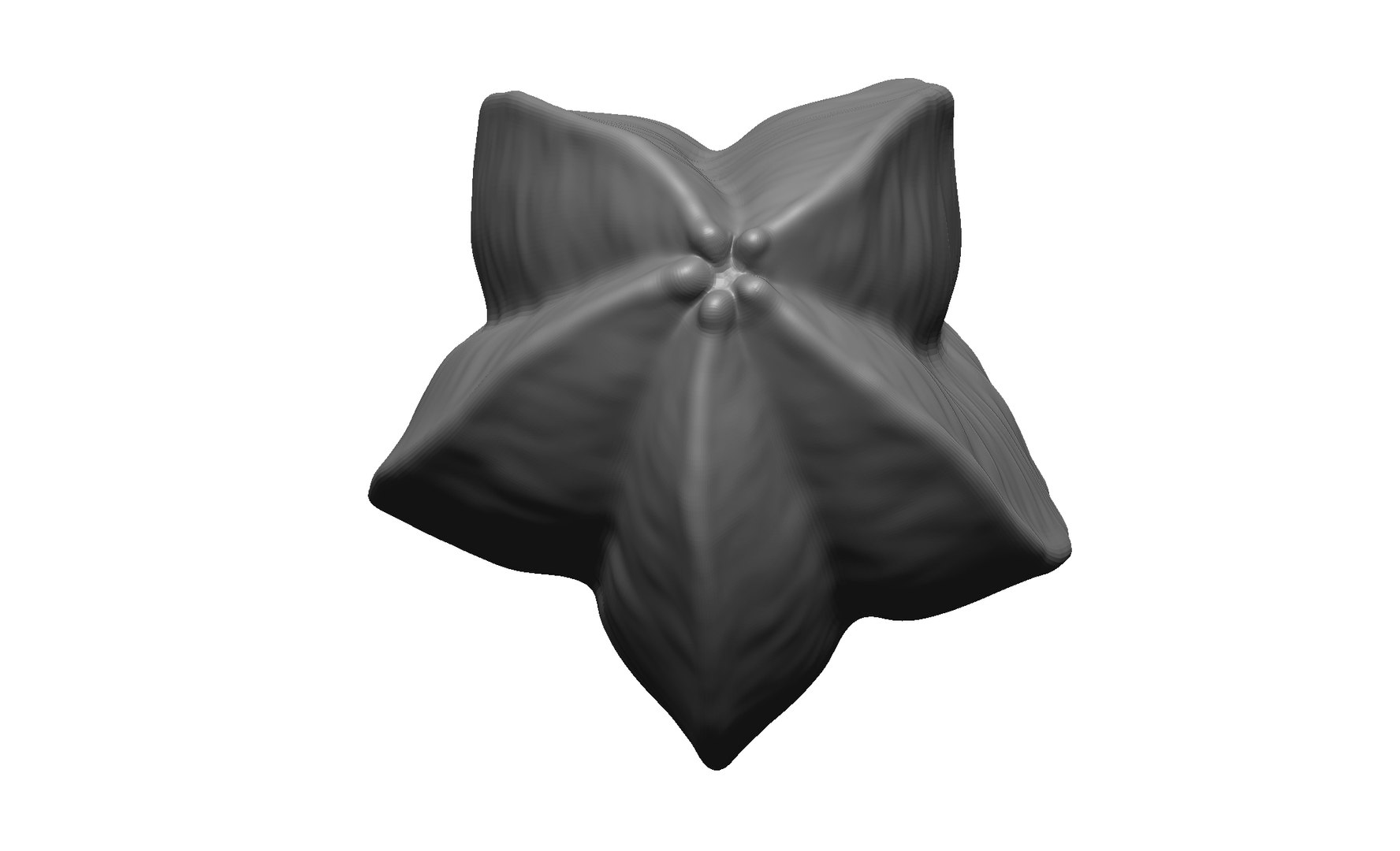 Star Fruit 3D Model - TurboSquid 2045444