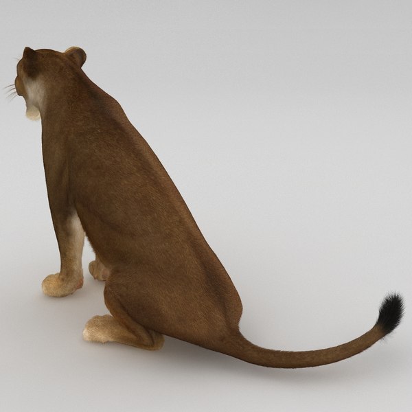 lioness pose 4 fur max