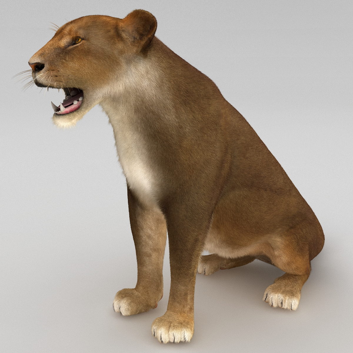 lioness pose 4 fur max