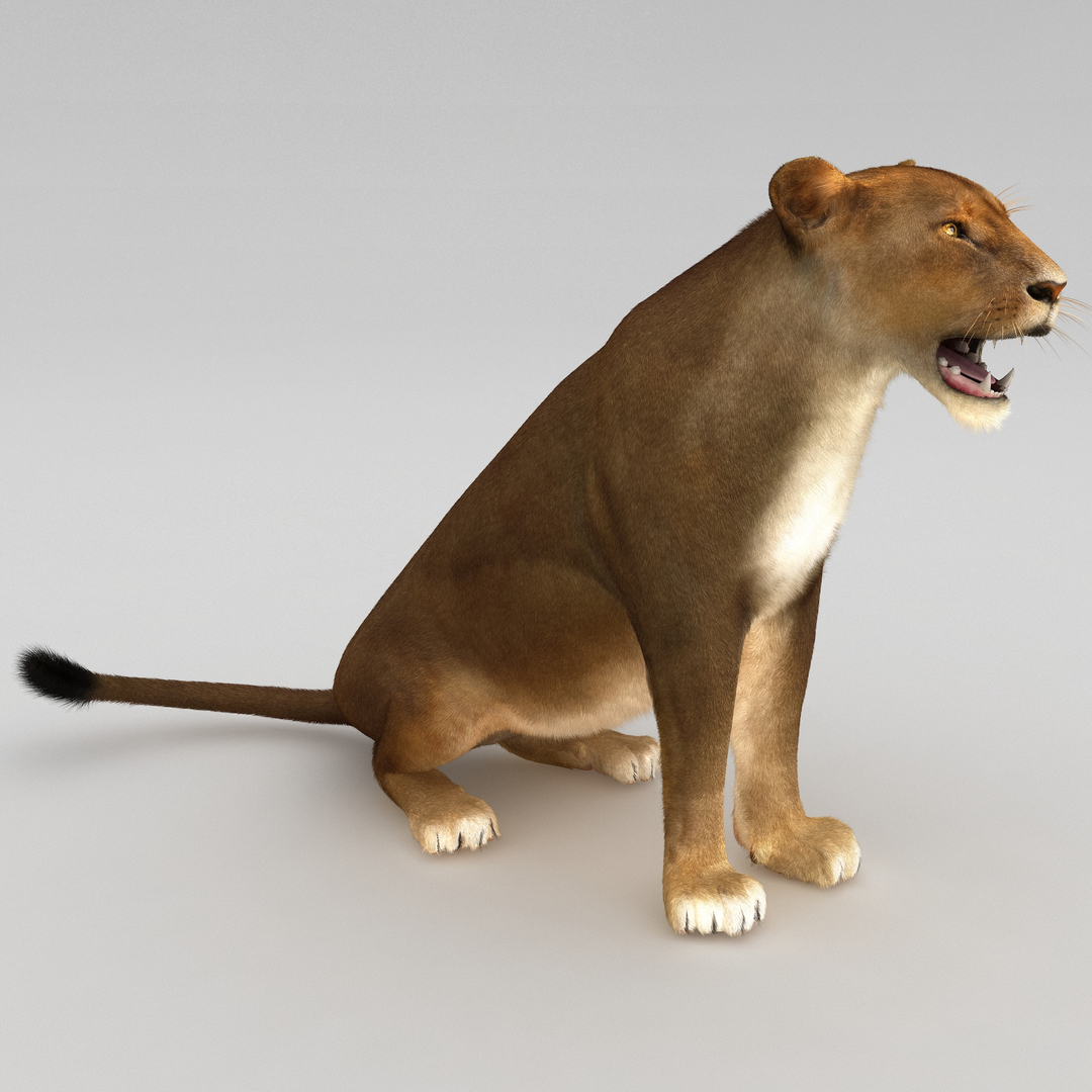 lioness pose 4 fur max