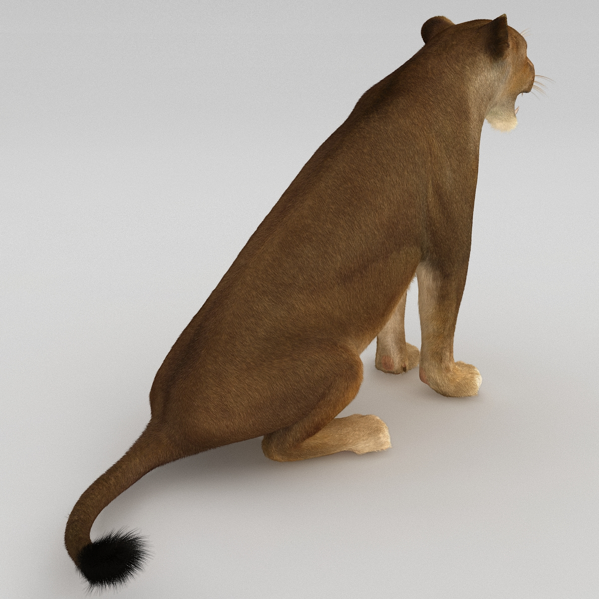 lioness pose 4 fur max