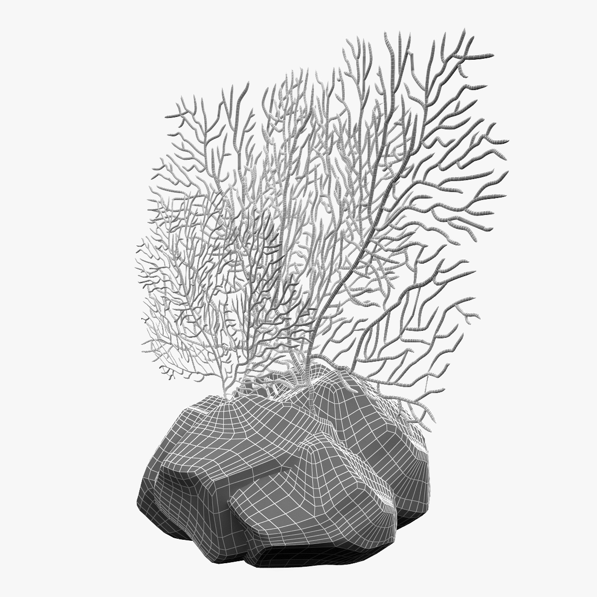 sea fan coral 3ds