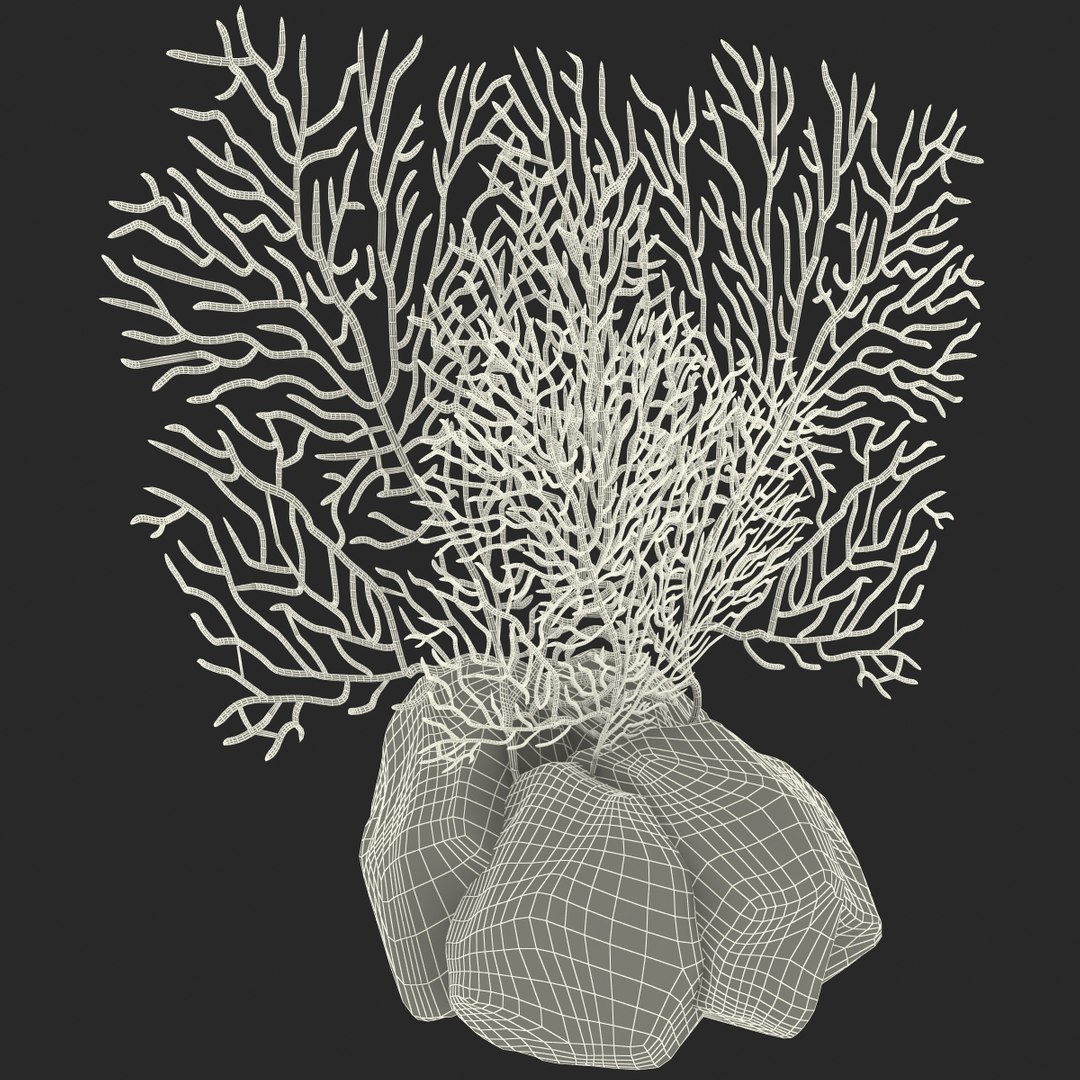 sea fan coral 3ds
