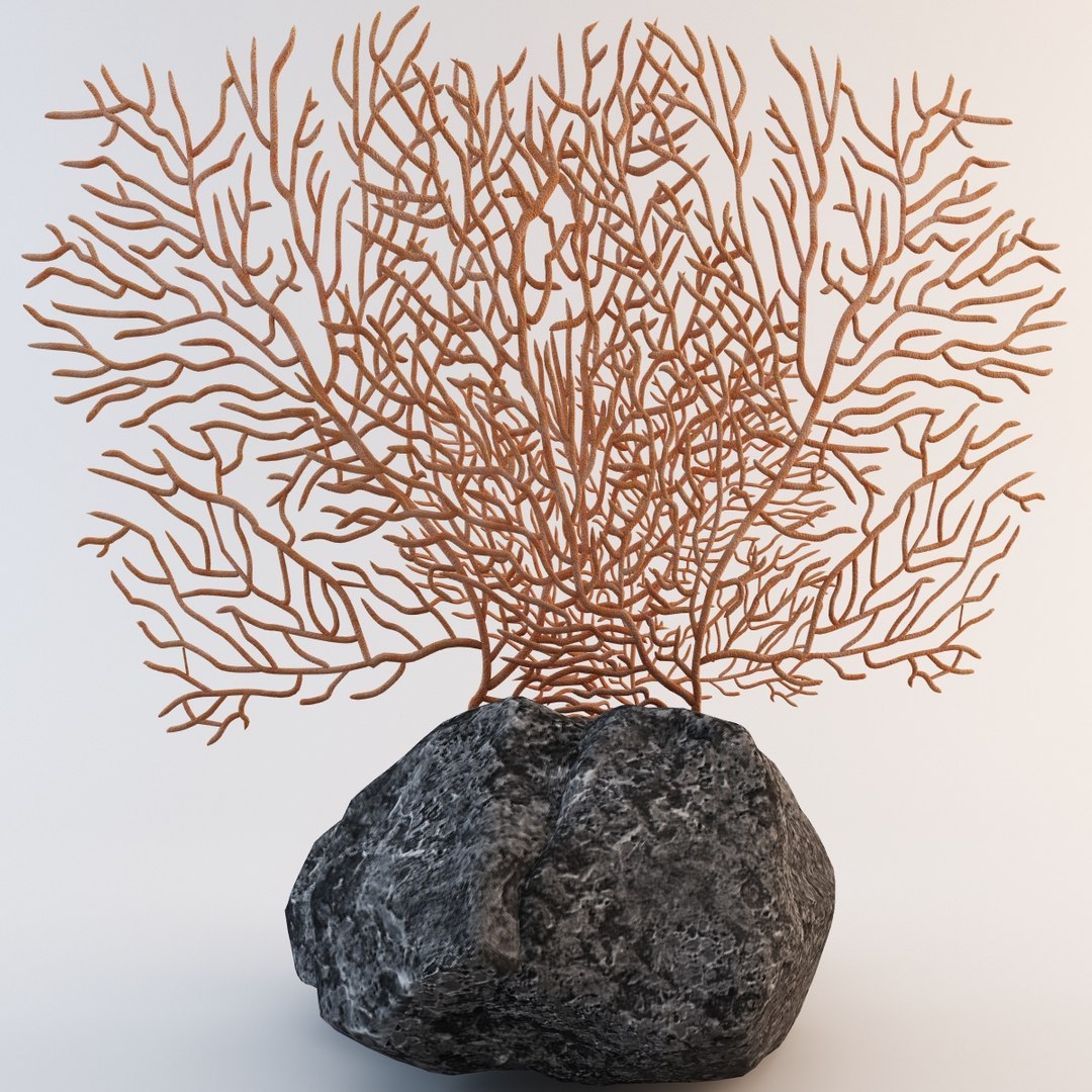 sea fan coral 3ds