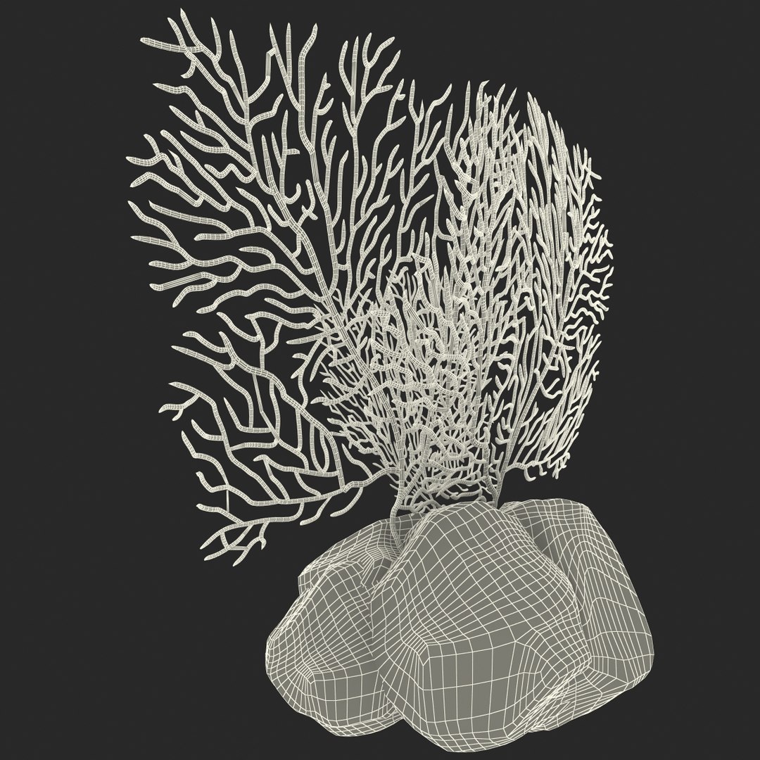 sea fan coral 3ds