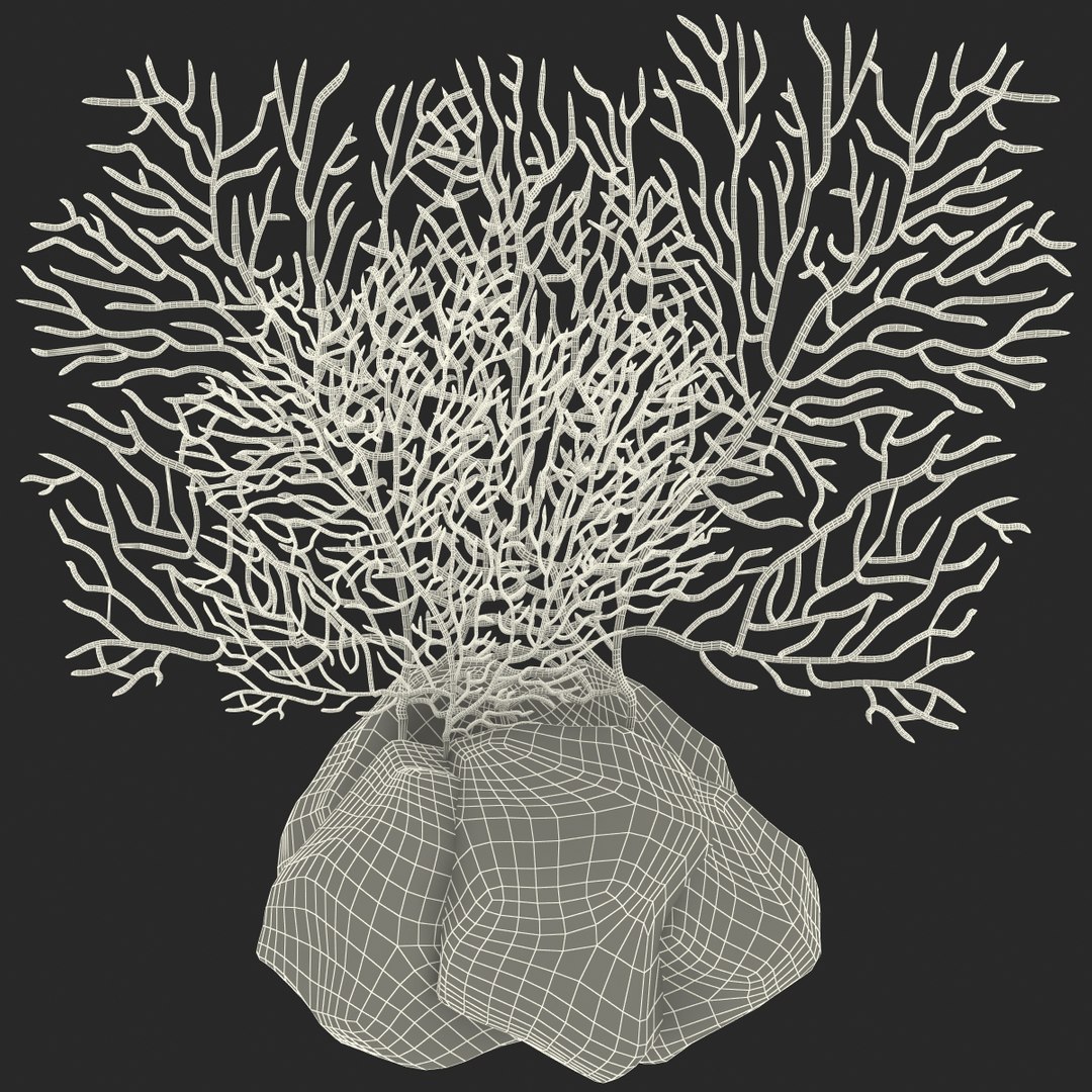 sea fan coral 3ds