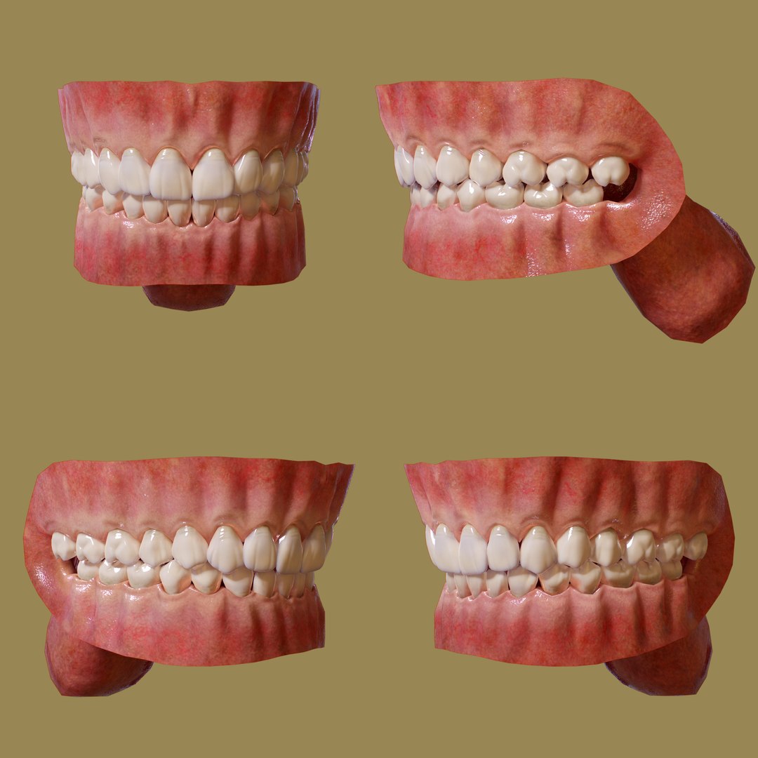 3D Teeth - Mouth Interior Real Time Model - TurboSquid 1804670