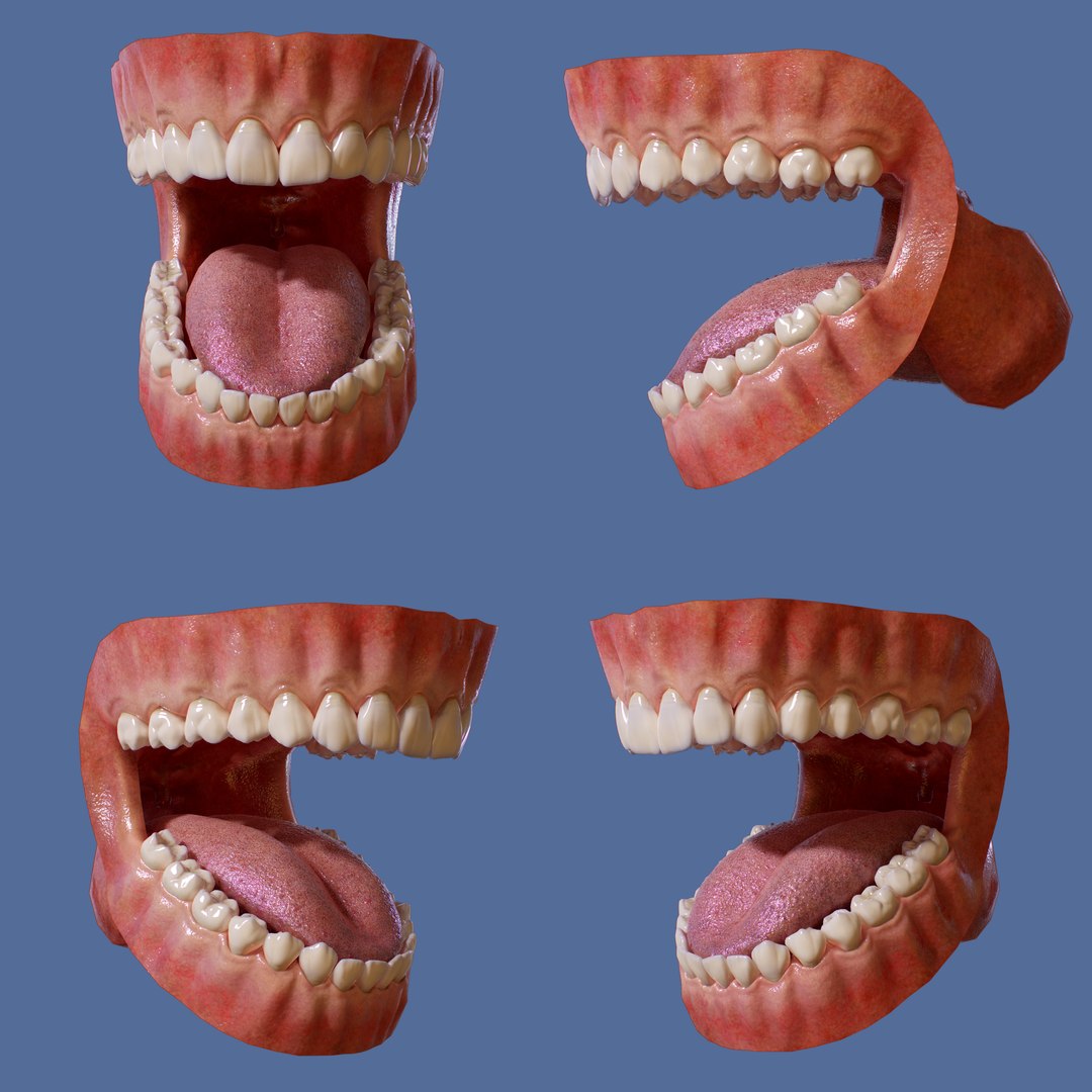 3D Teeth - Mouth Interior Real Time Model - TurboSquid 1804670