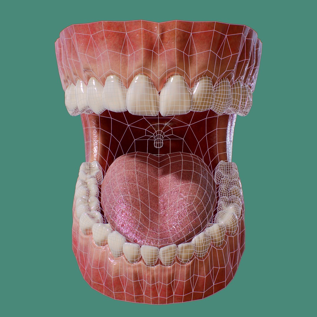 3D Teeth - Mouth Interior Real Time Model - TurboSquid 1804670