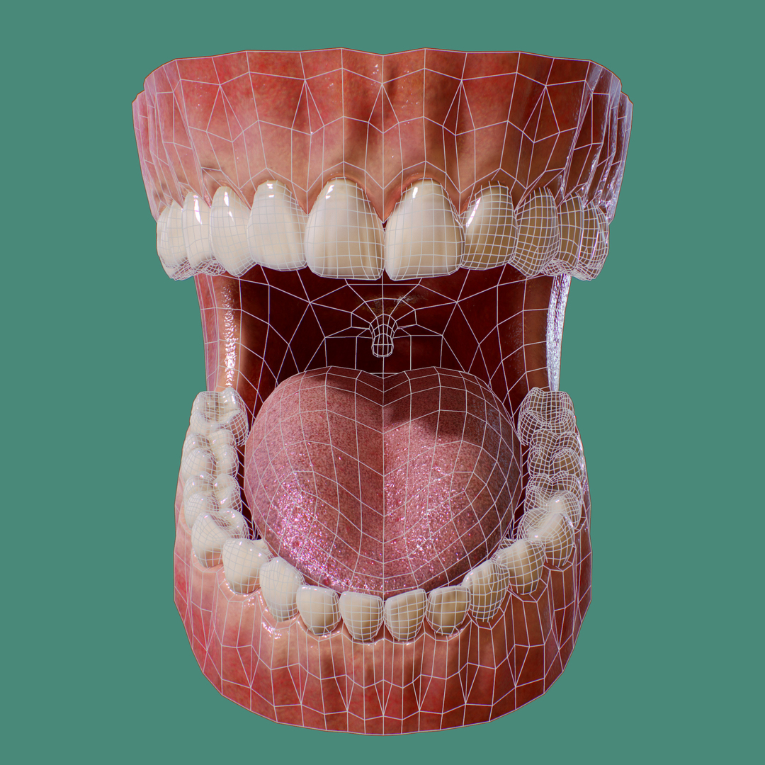 modèle 3D de Dents - Bouche Intérieur Temps Réel - TurboSquid 1804670