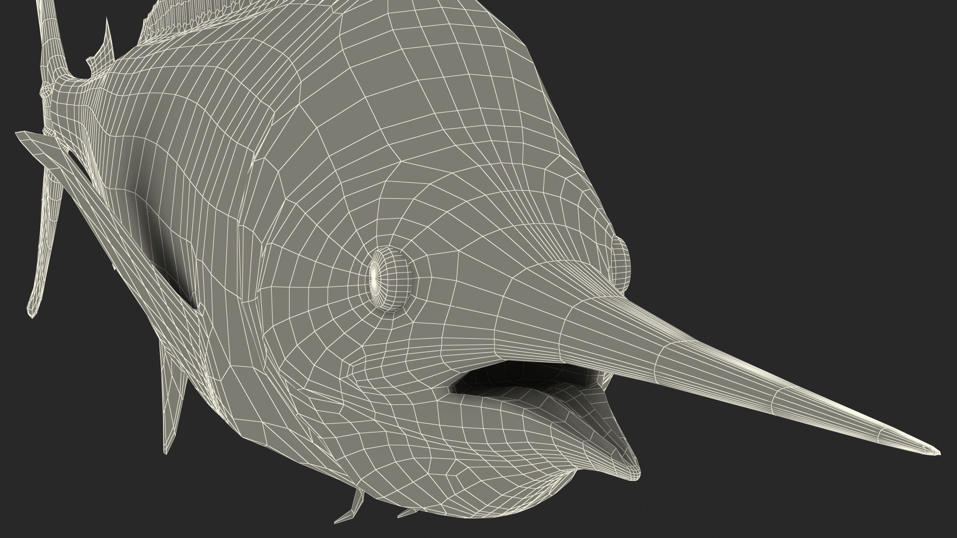 White Marlin Fish 3D Model - TurboSquid 1992404