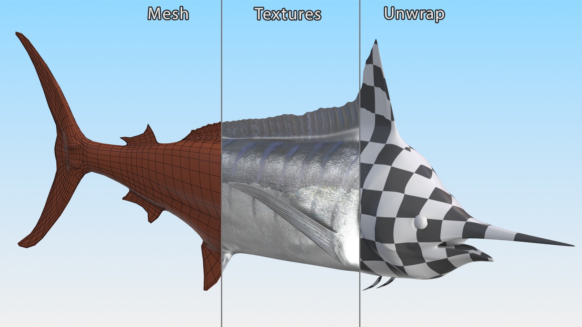 White Marlin Fish 3D Model - TurboSquid 1992404