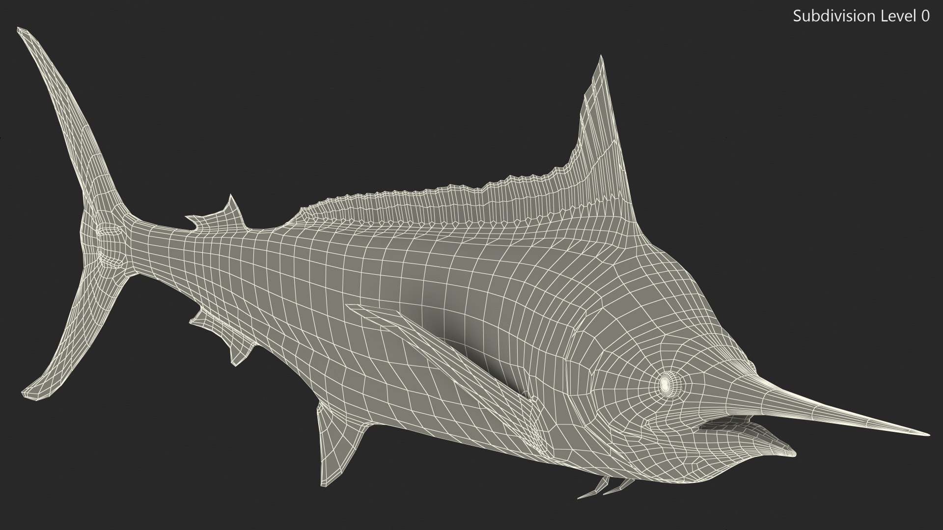 White Marlin Fish 3D Model - TurboSquid 1992404