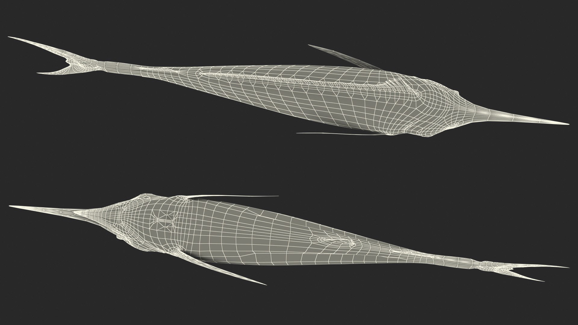 White Marlin Fish 3D Model - TurboSquid 1992404