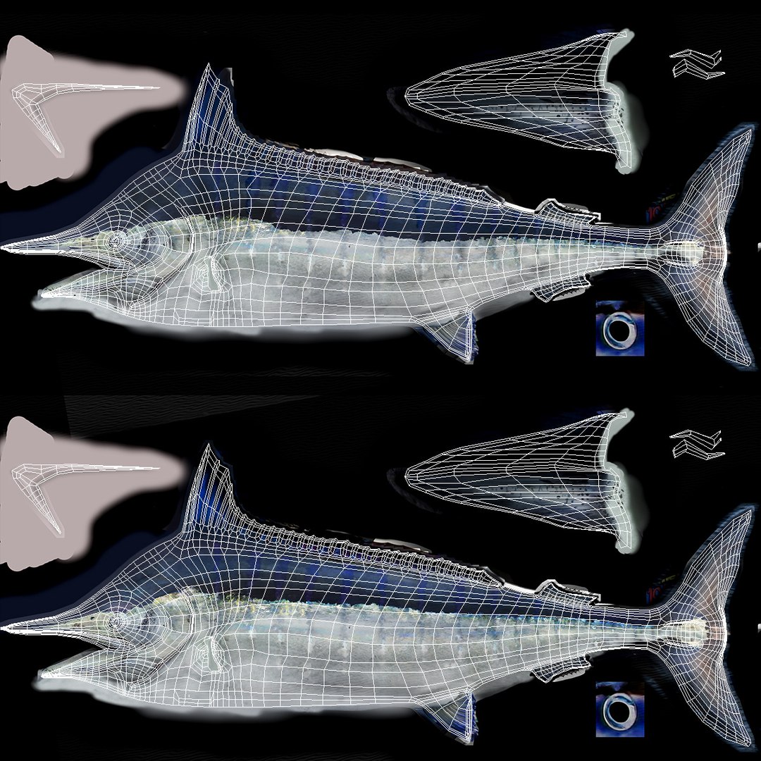 White Marlin Fish 3D Model - TurboSquid 1992404