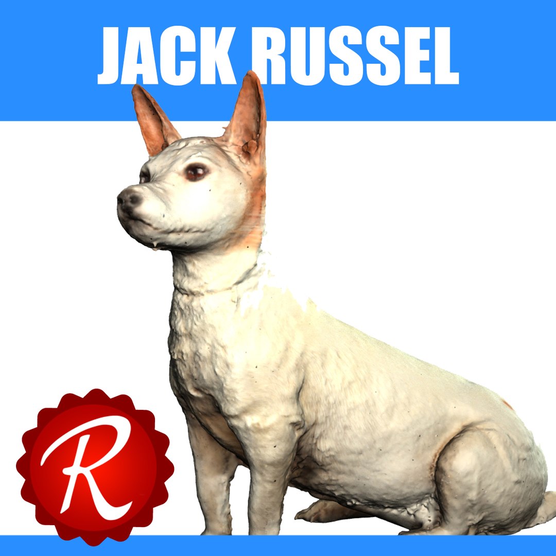 3d Model Jack Russel