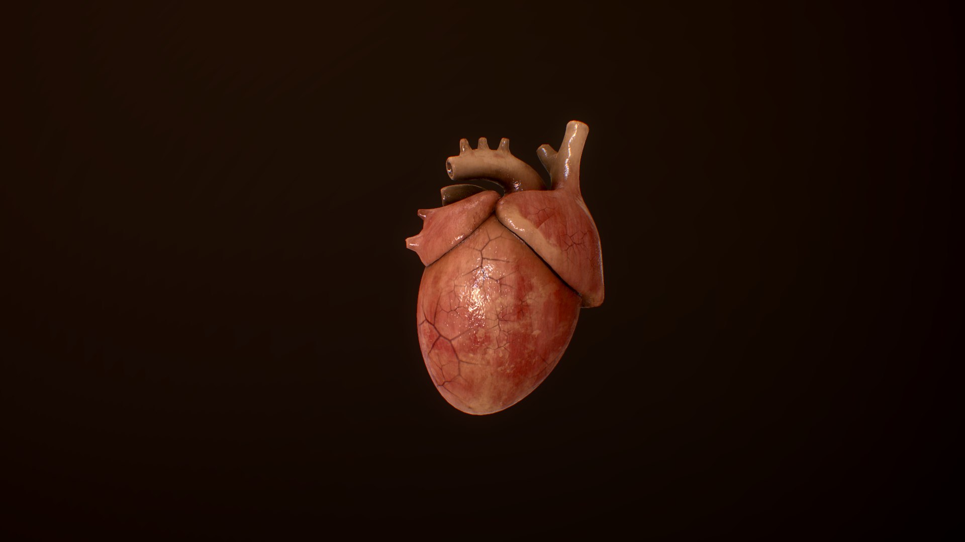 3D Heart Science - TurboSquid 1664630