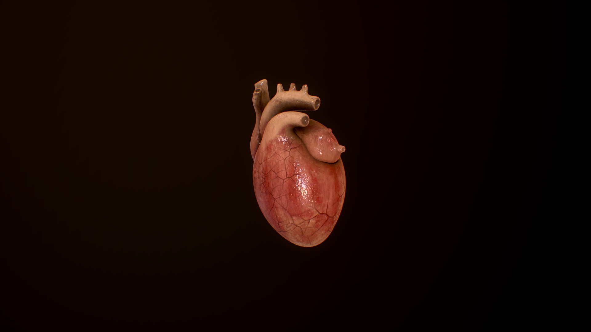 3D Heart Science - TurboSquid 1664630