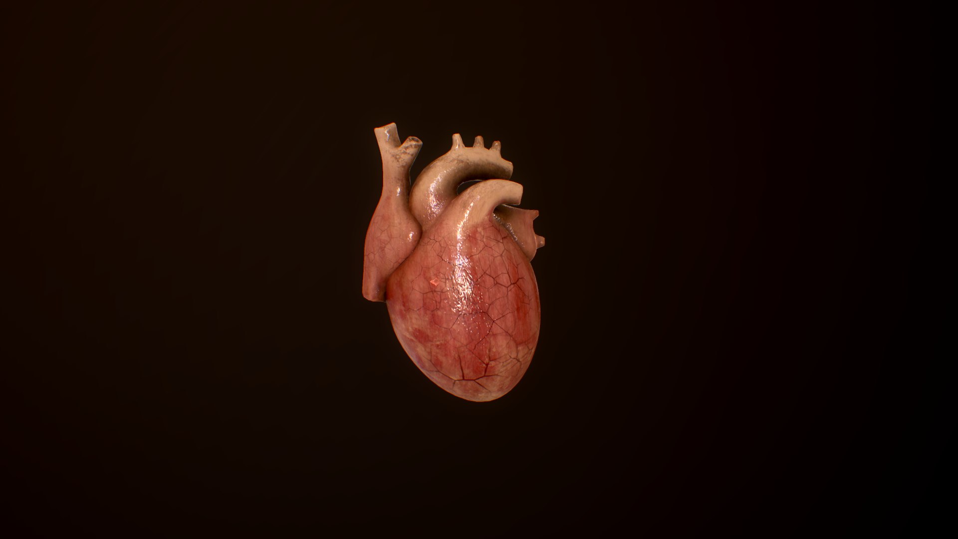 3D Heart Science - TurboSquid 1664630