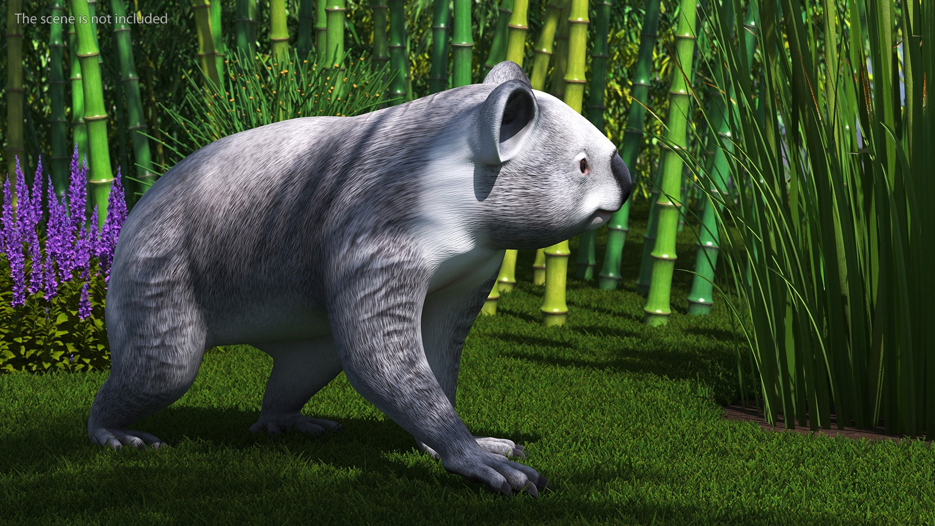 3D Model Australian Koala Rigged For Maya - TurboSquid 2181456