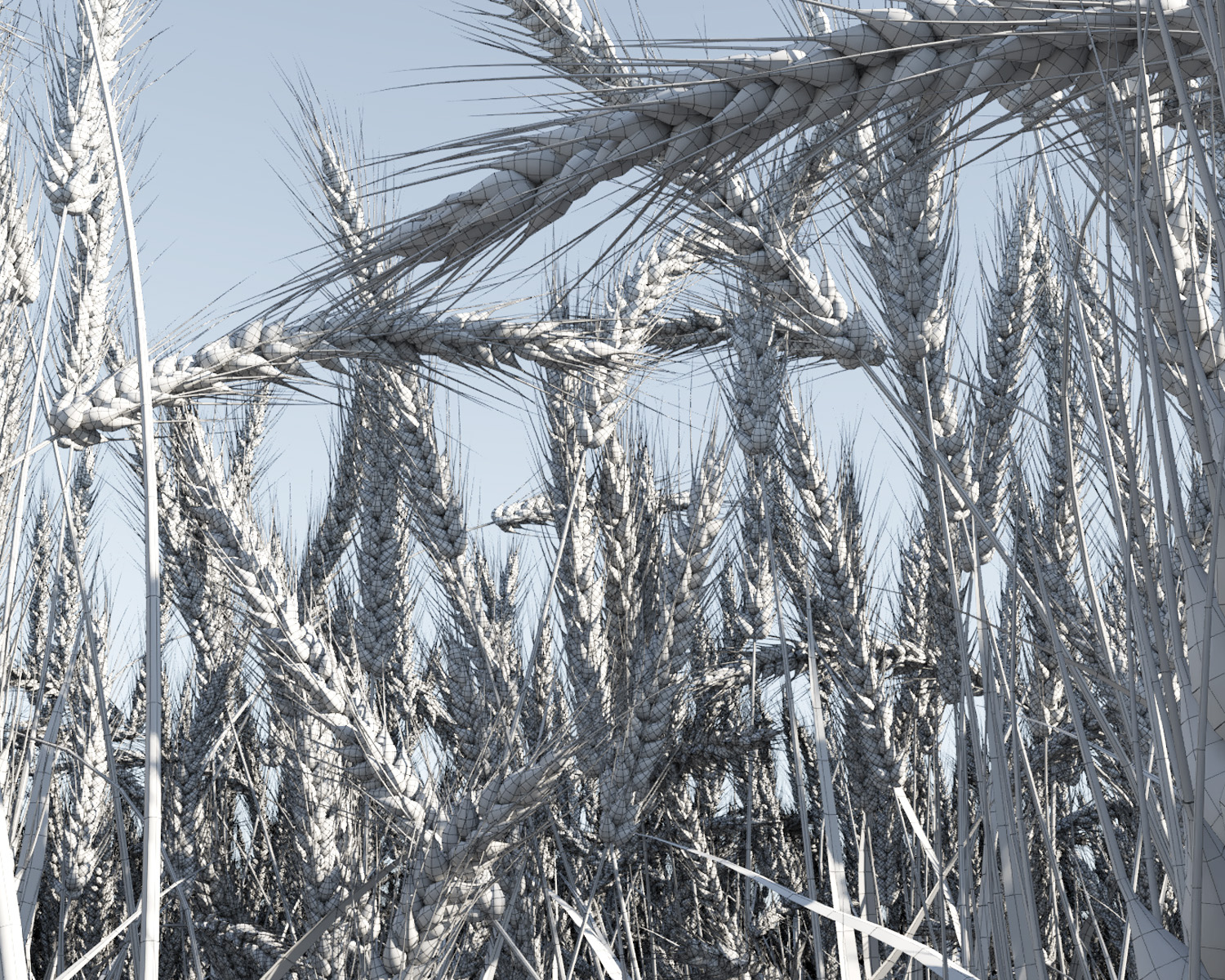 Wheat field 3D model - TurboSquid 1175816