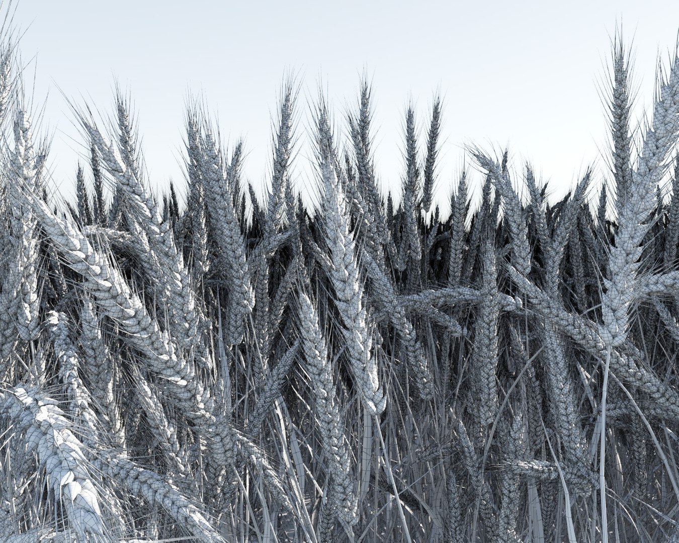 Wheat Field 3D Model - TurboSquid 1175816
