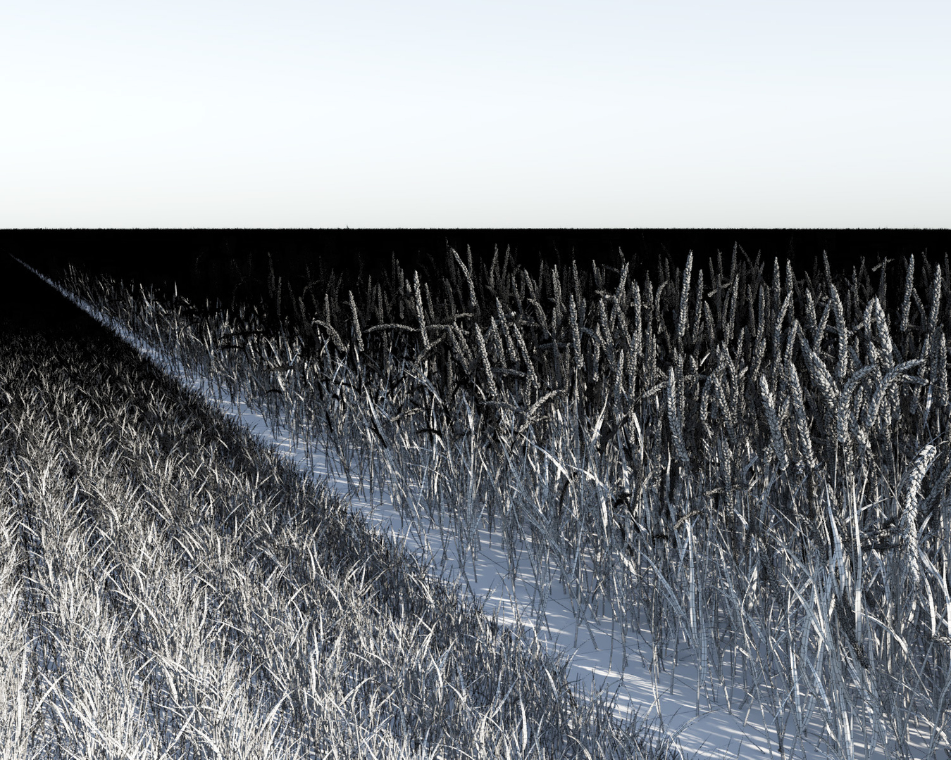 Wheat field 3D model - TurboSquid 1175816