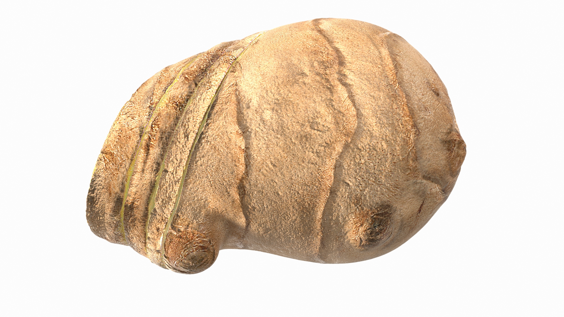 3D Sliced Ginger Piece - TurboSquid 1891340