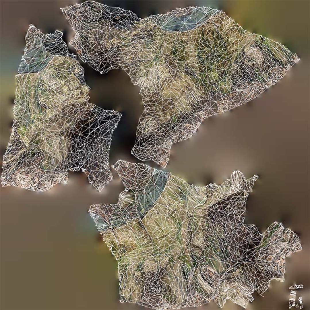 3D Wide Tree Root Stump Remastered Model - TurboSquid 2363156