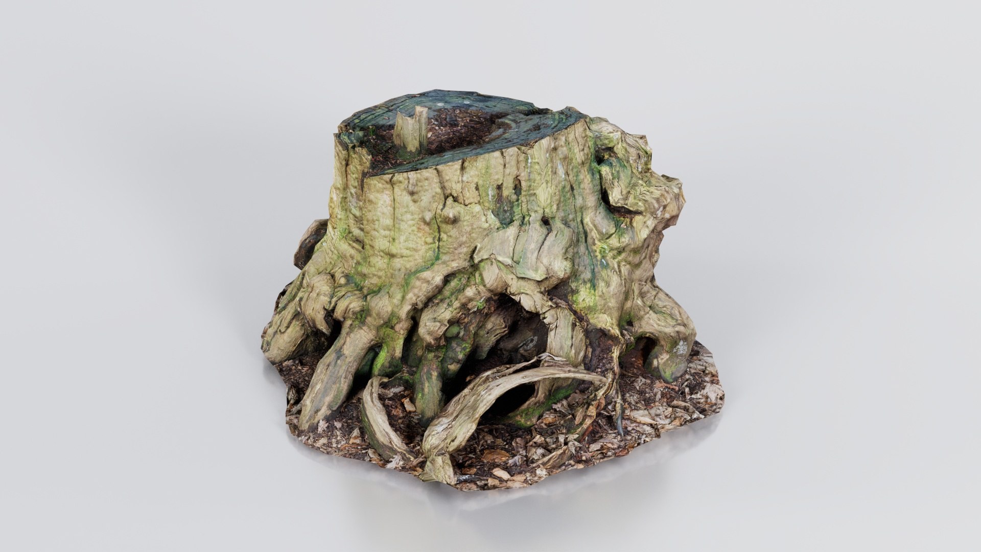 3D Wide Tree Root Stump Remastered Model - TurboSquid 2363156