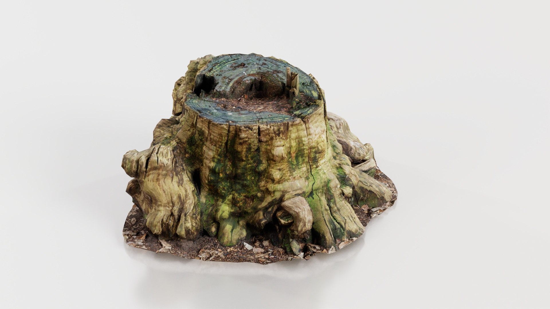 3D Wide Tree Root Stump Remastered Model - TurboSquid 2363156