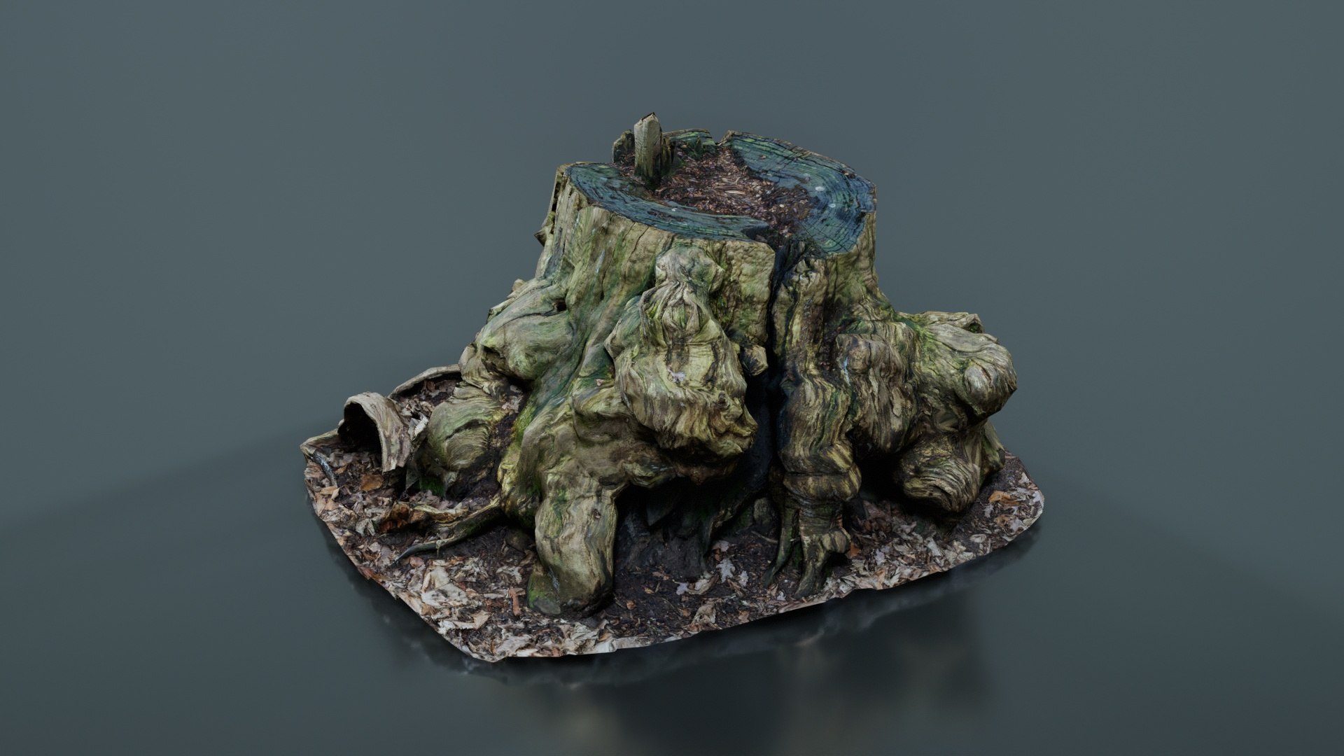 3D Wide Tree Root Stump Remastered Model - TurboSquid 2363156