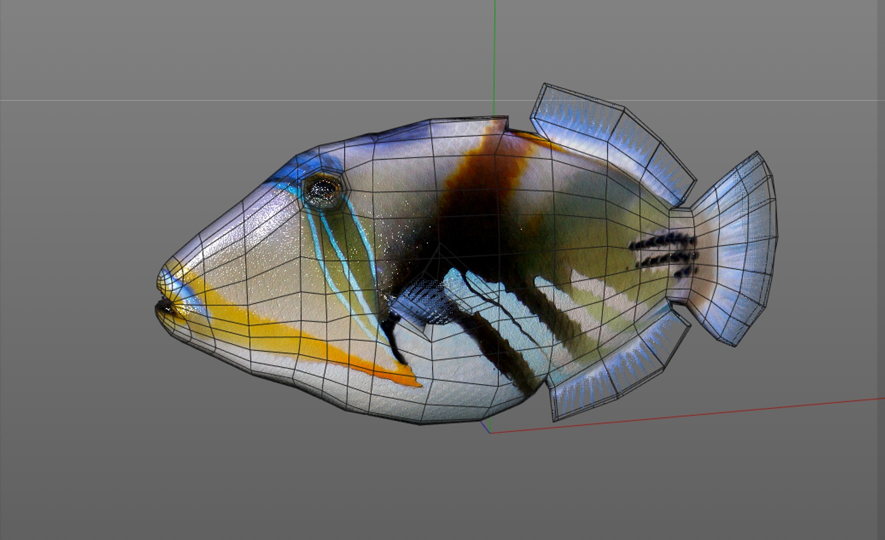 Fish 3D Model - TurboSquid 1551919