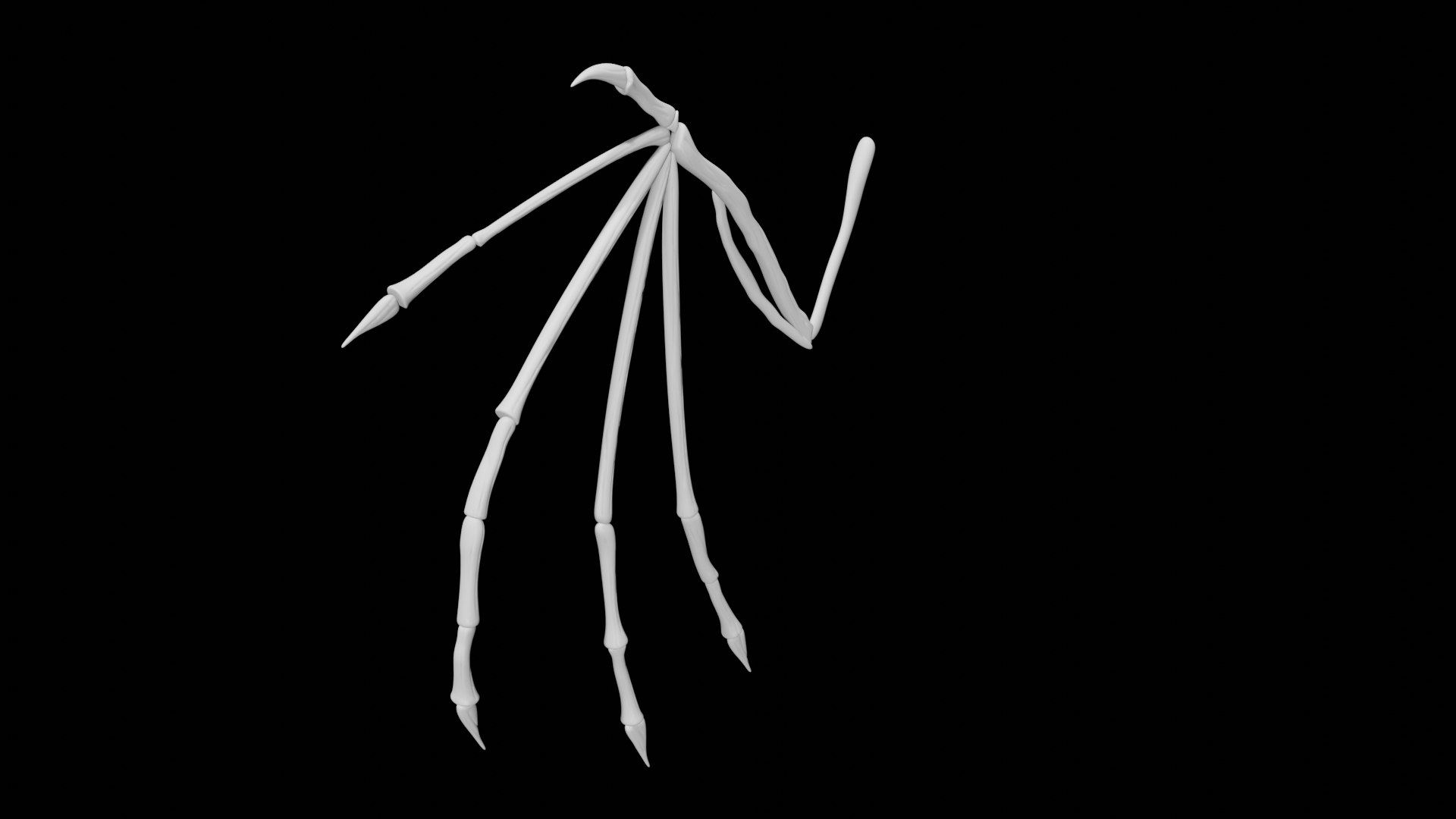 3D Bat Wings Model - TurboSquid 1839728