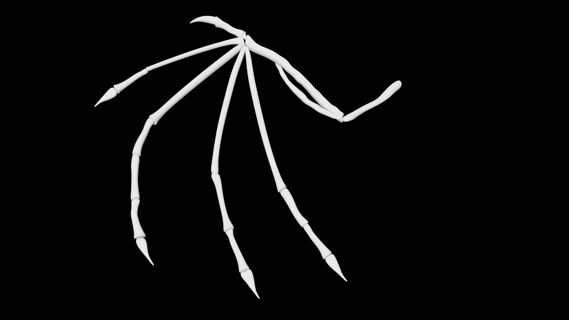 3D Bat Wings Model - TurboSquid 1839728