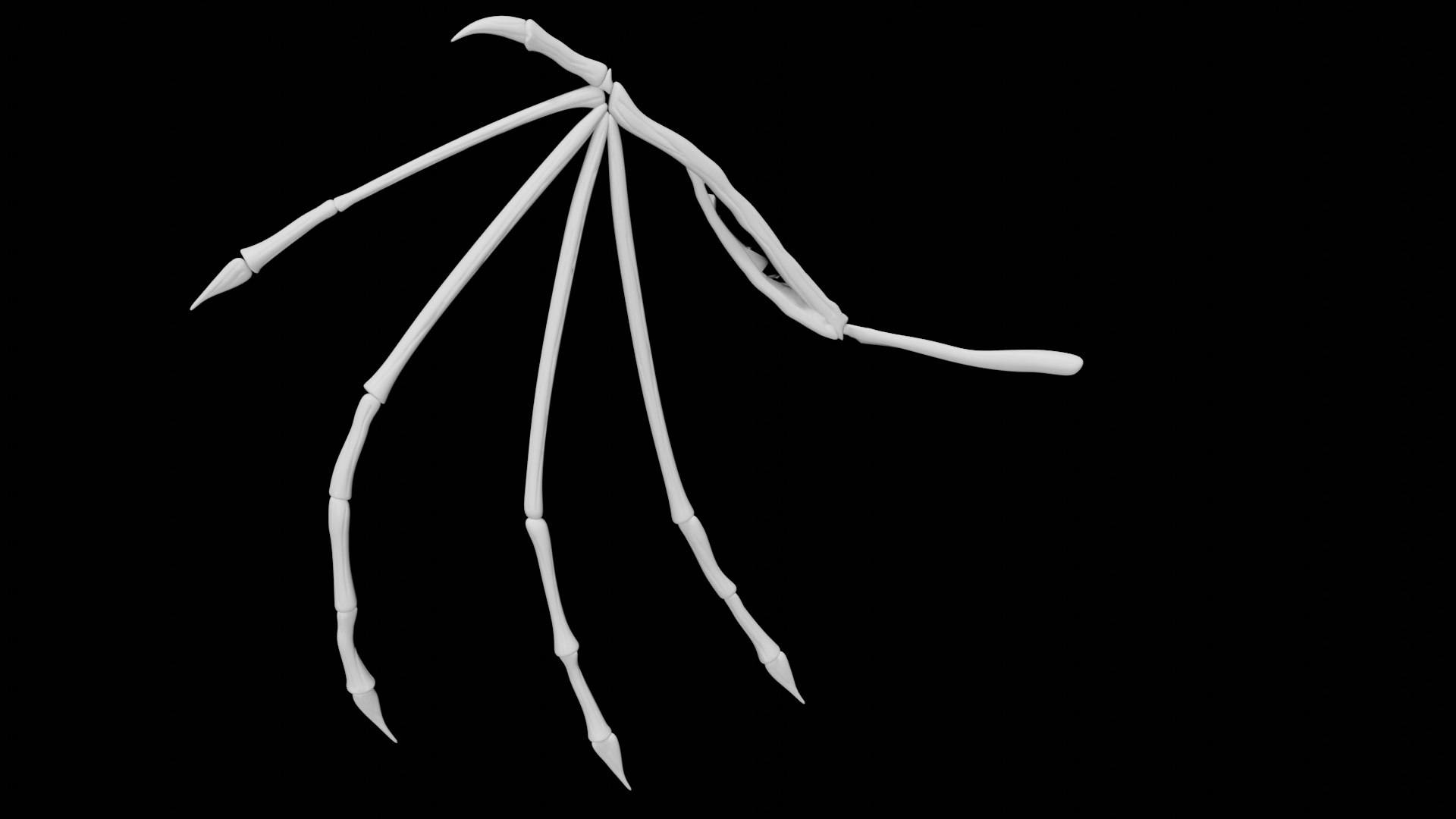 3D Bat Wings Model - TurboSquid 1839728