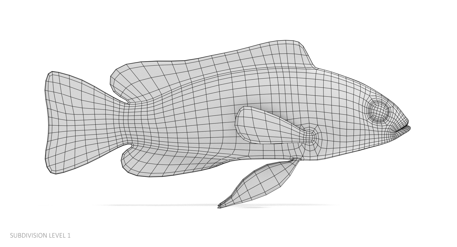 Fairy Basslet 3D - TurboSquid 1251126