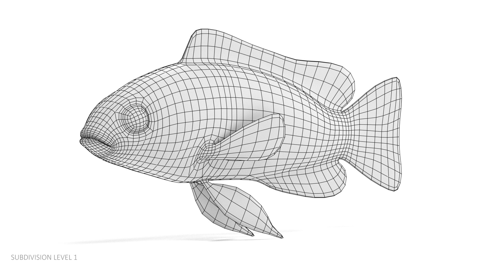 Fairy Basslet 3D - TurboSquid 1251126