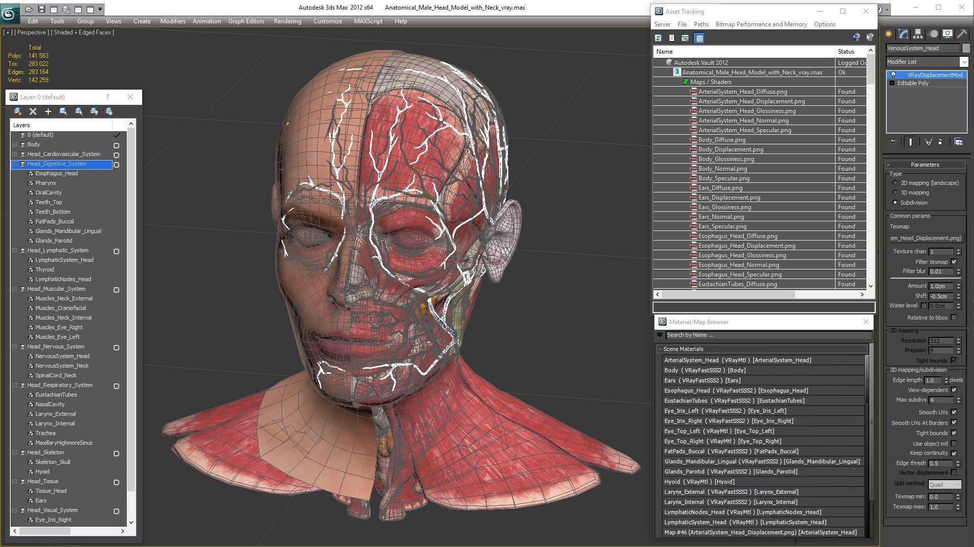 Anatomical male head neck model - TurboSquid 1467452