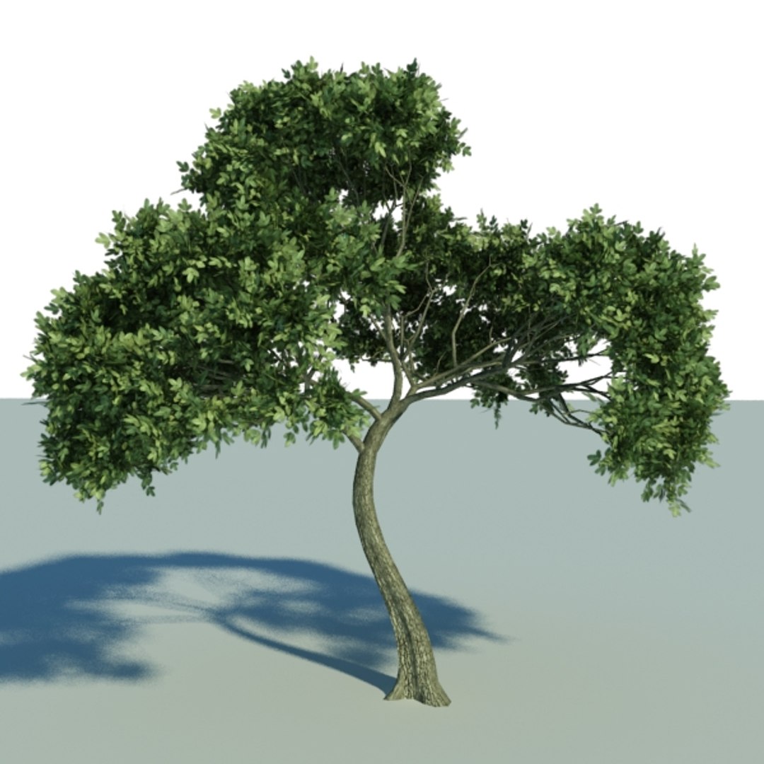 3dsmax 3 Trees