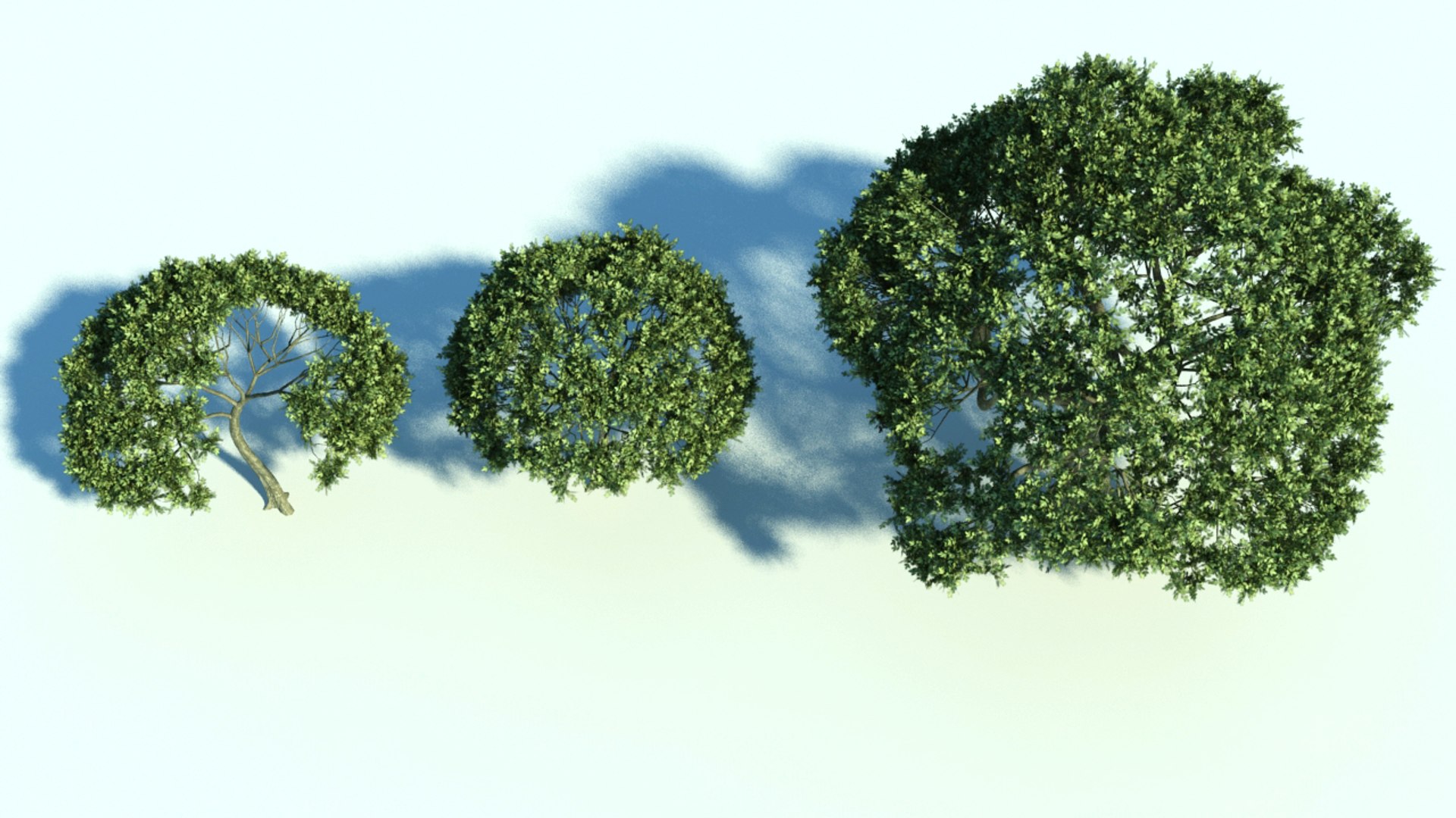 3dsmax 3 Trees