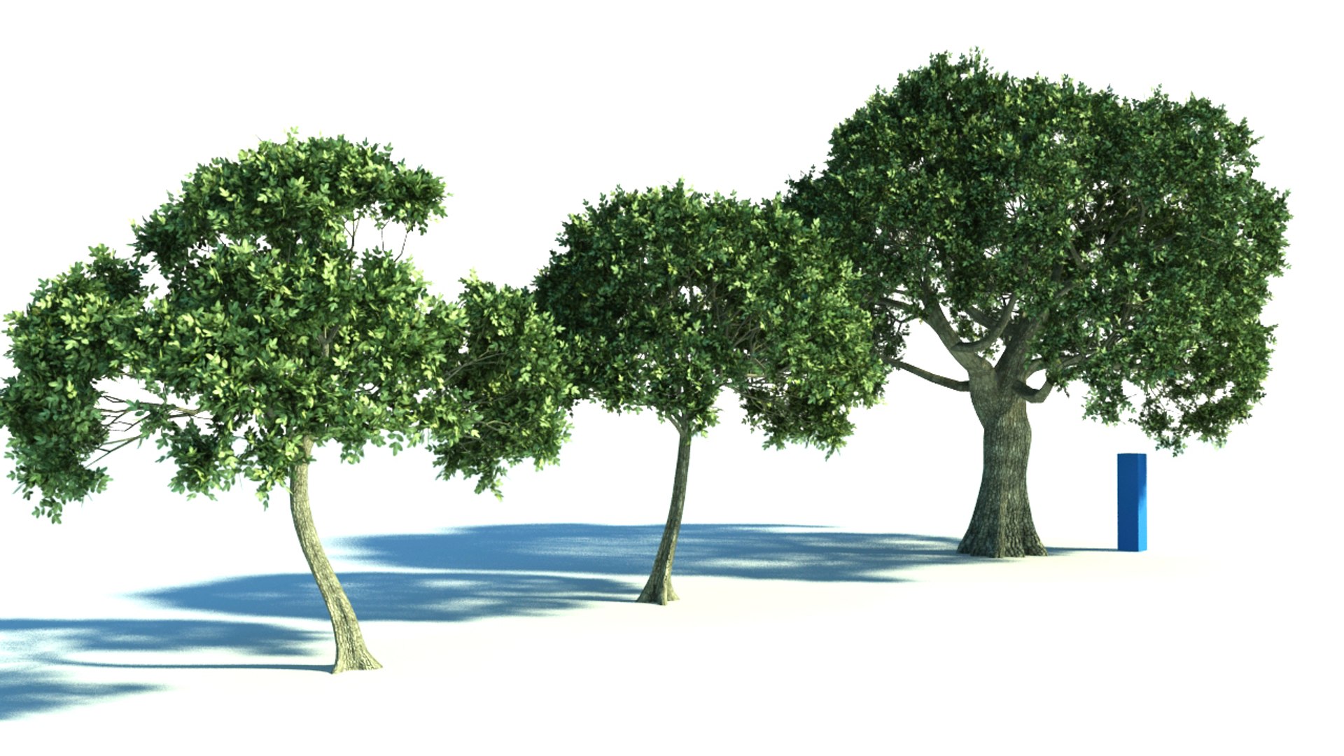 3dsmax 3 Trees