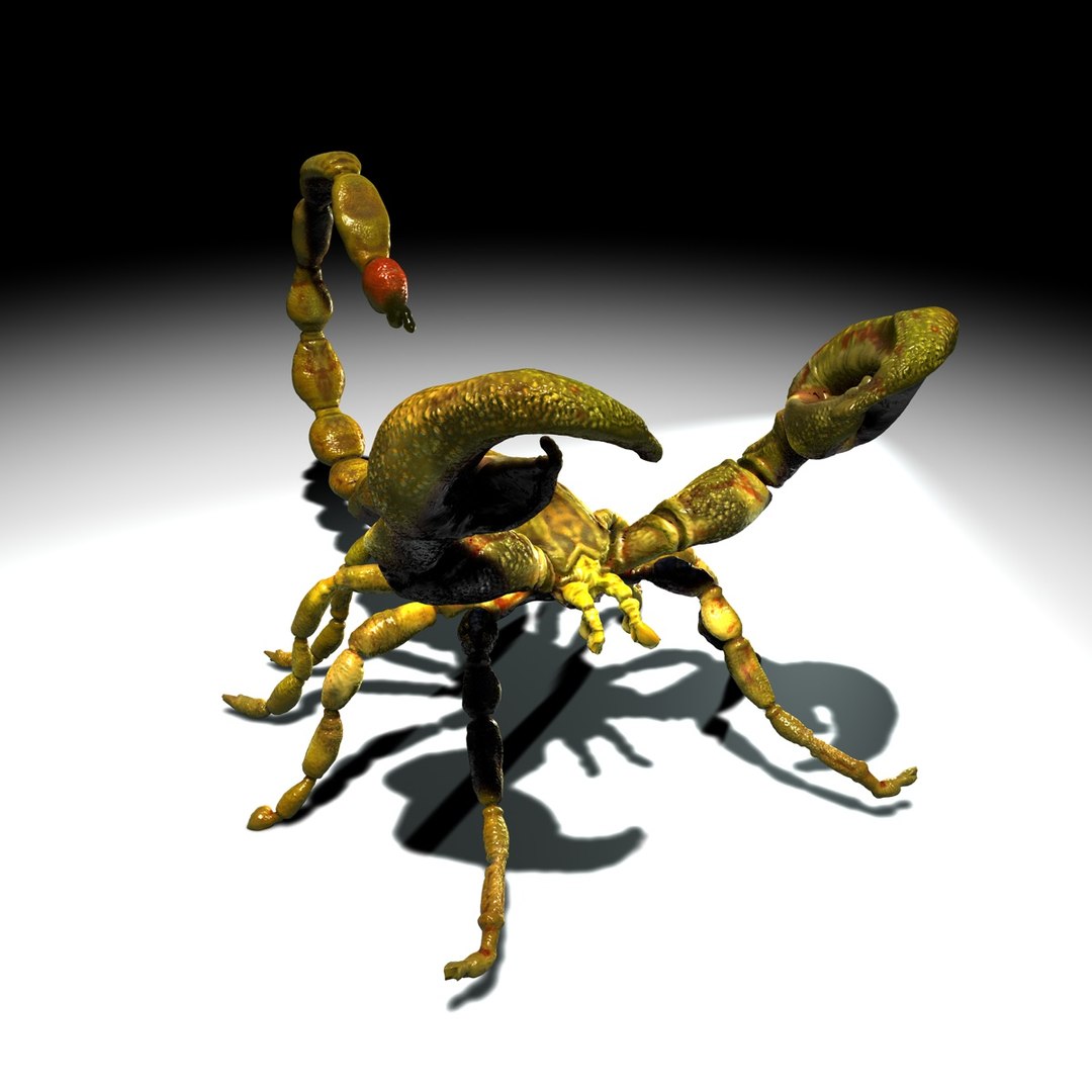 Scorpion Zbrush Includes 3d C4d