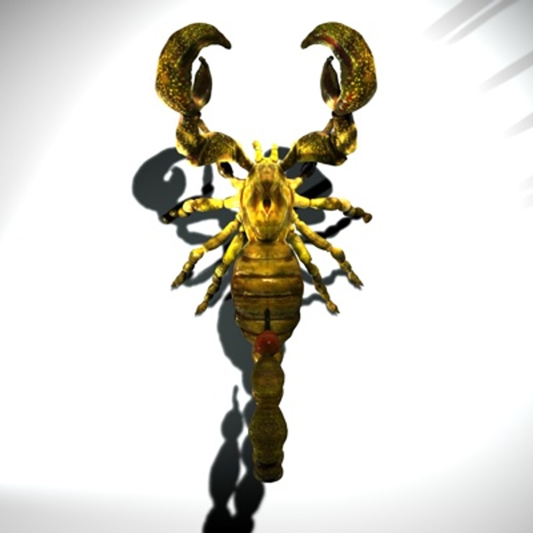 Scorpion Zbrush Includes 3d C4d