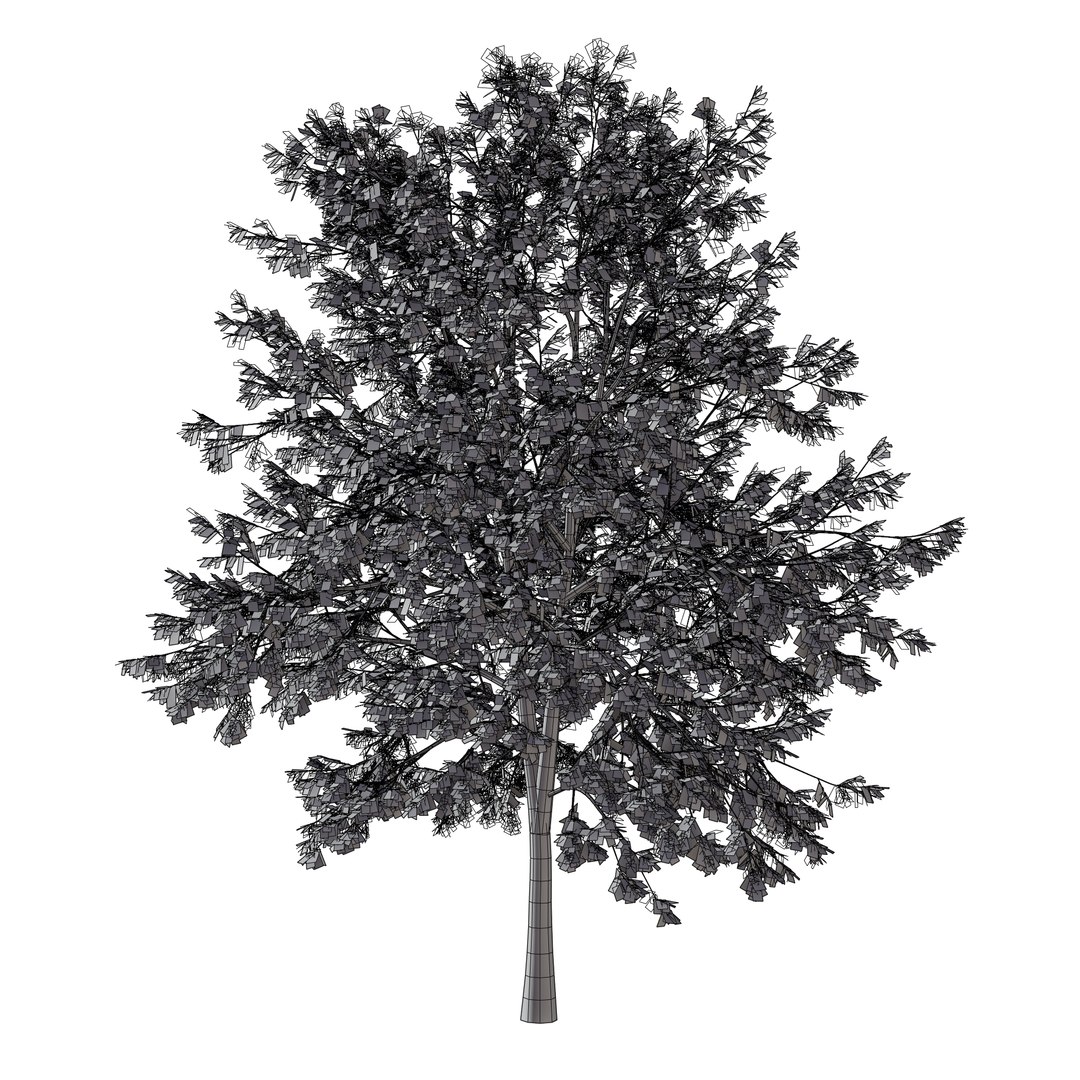 3D Maple Tree Set 01 Model - TurboSquid 2378523