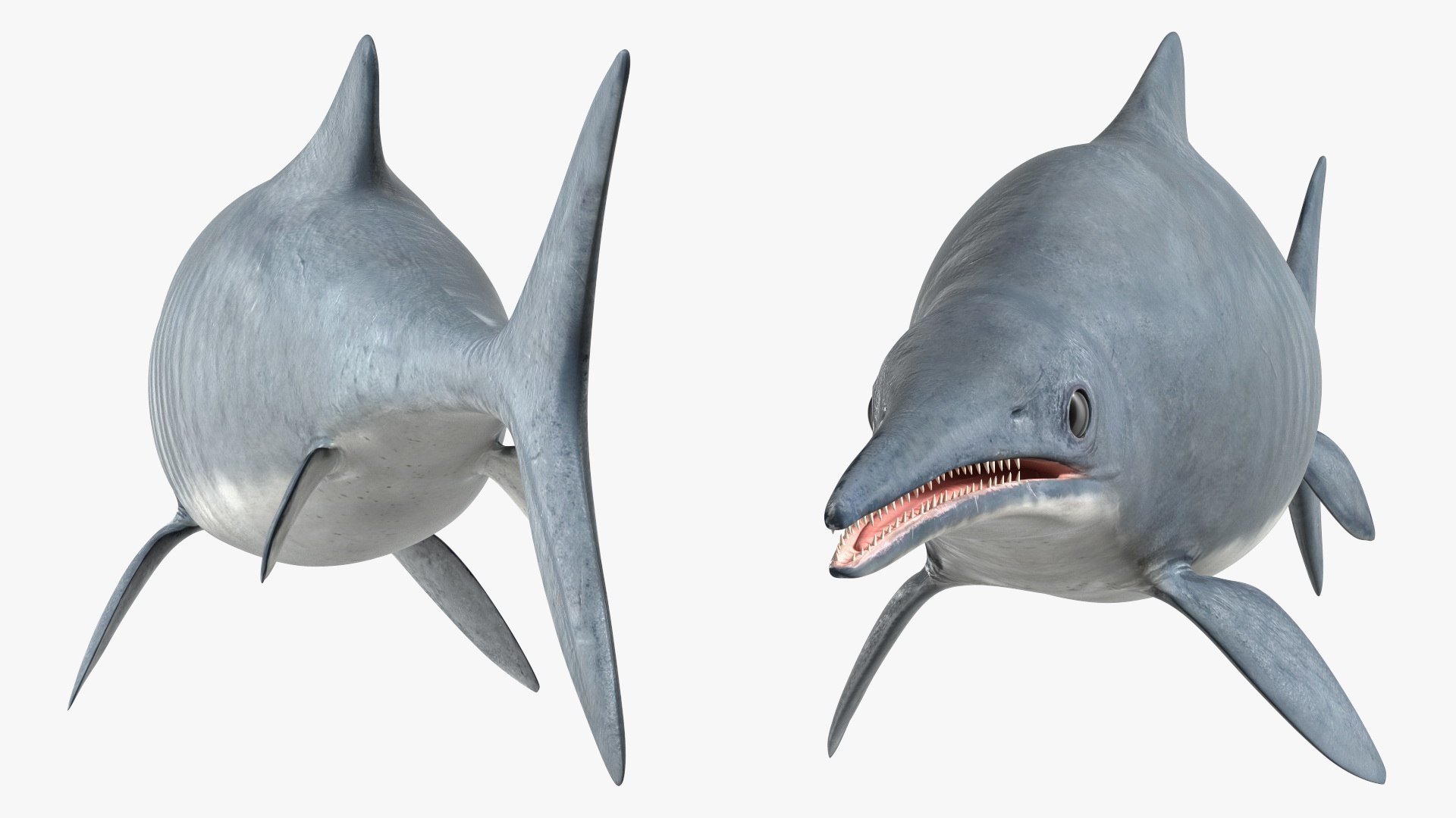 Ichthyosaur Rigged For Maya 3D Model - TurboSquid 2095497