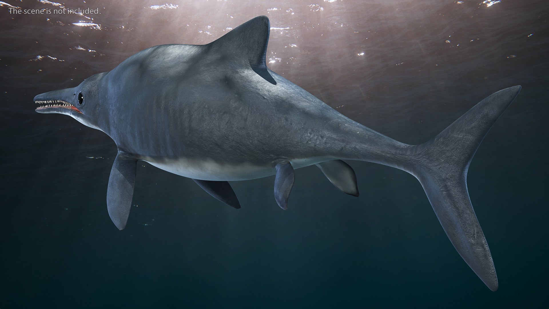 Ichthyosaur Rigged For Maya 3D Model - TurboSquid 2095497