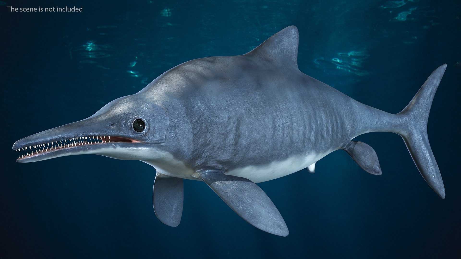Ichthyosaur Rigged For Maya 3D Model - TurboSquid 2095497